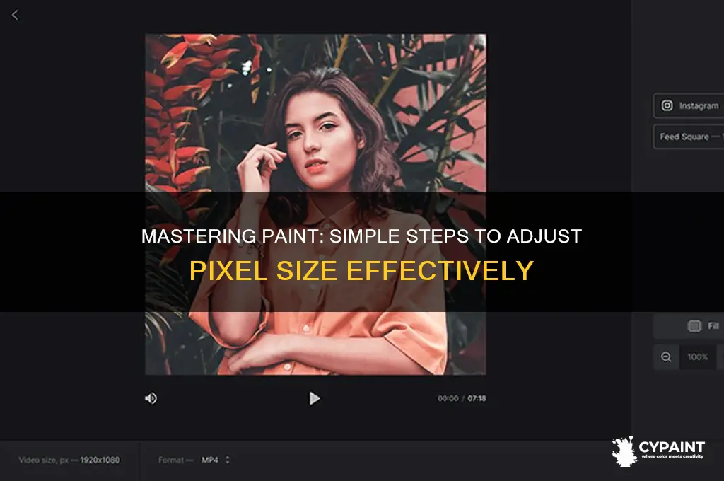 Mastering Paint: Simple Steps To Adjust Pixel Size Effectively | CyPaint