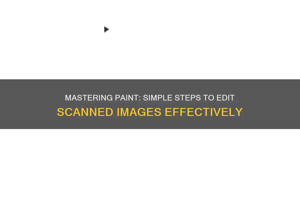 Mastering Paint: Simple Steps To Edit Scanned Images Effectively | CyPaint