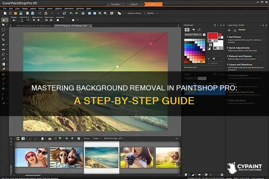 Mastering Background Removal In Paintshop Pro: A Step-By-Step Guide ...