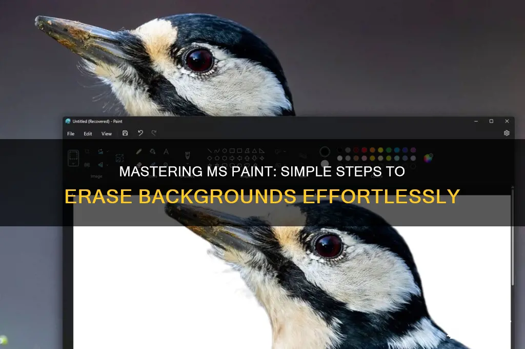 Mastering Ms Paint: Simple Steps To Erase Backgrounds Effortlessly ...