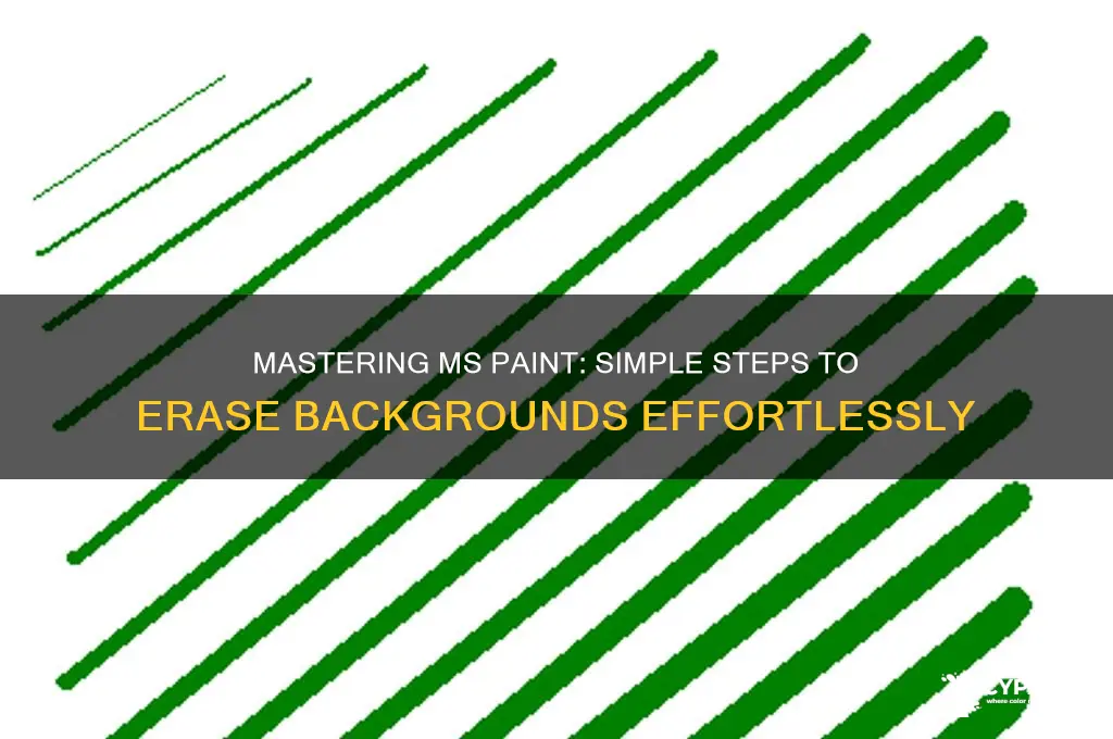 Mastering Ms Paint: Simple Steps To Erase Backgrounds Effortlessly ...