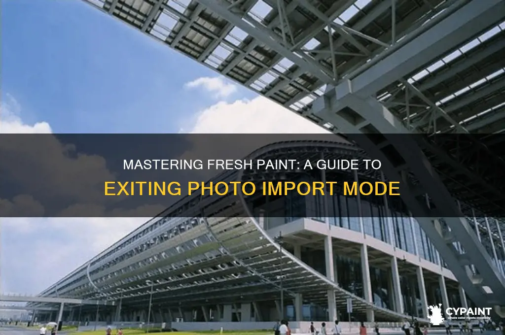 Mastering Fresh Paint: A Guide To Exiting Photo Import Mode | CyPaint