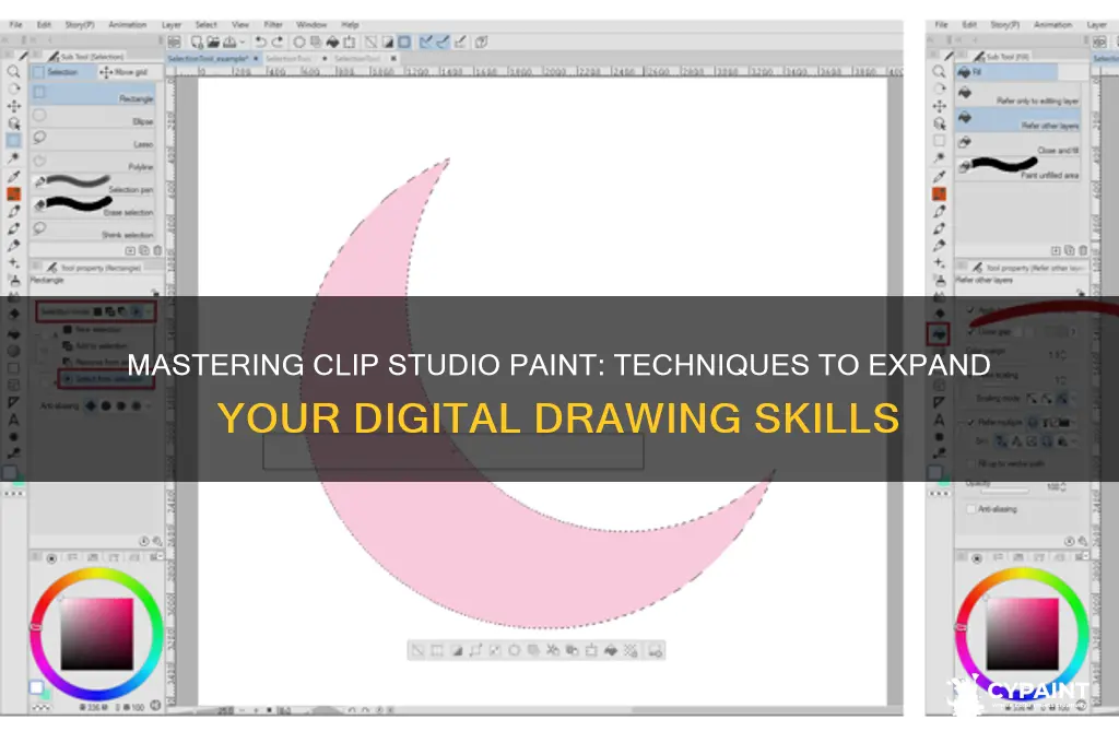 Mastering Clip Studio Paint: Techniques To Expand Your Digital Drawing ...
