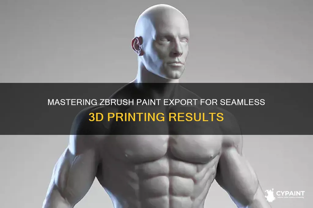 Mastering Zbrush Paint Export For Seamless 3D Printing Results | CyPaint