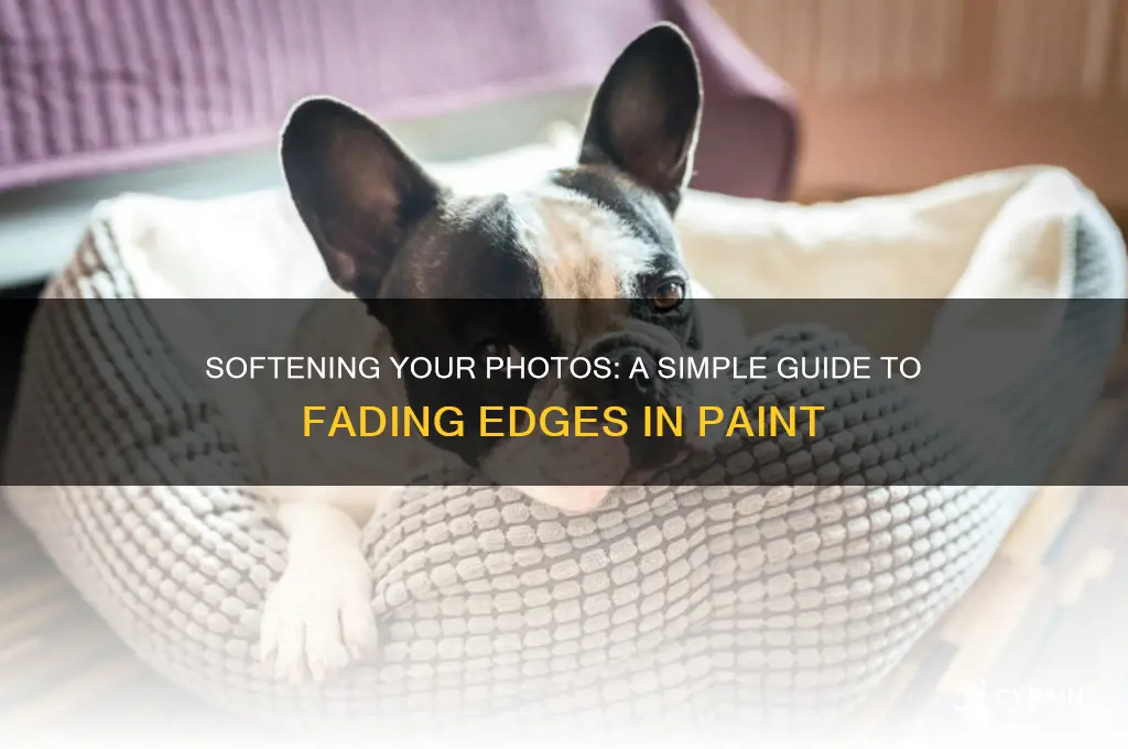Softening Your Photos: A Simple Guide To Fading Edges In Paint | CyPaint