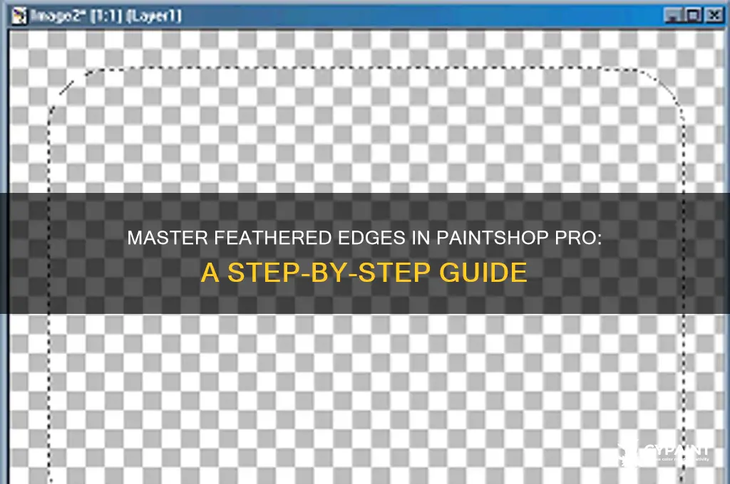 Master Feathered Edges In Paintshop Pro: A Step-By-Step Guide | CyPaint