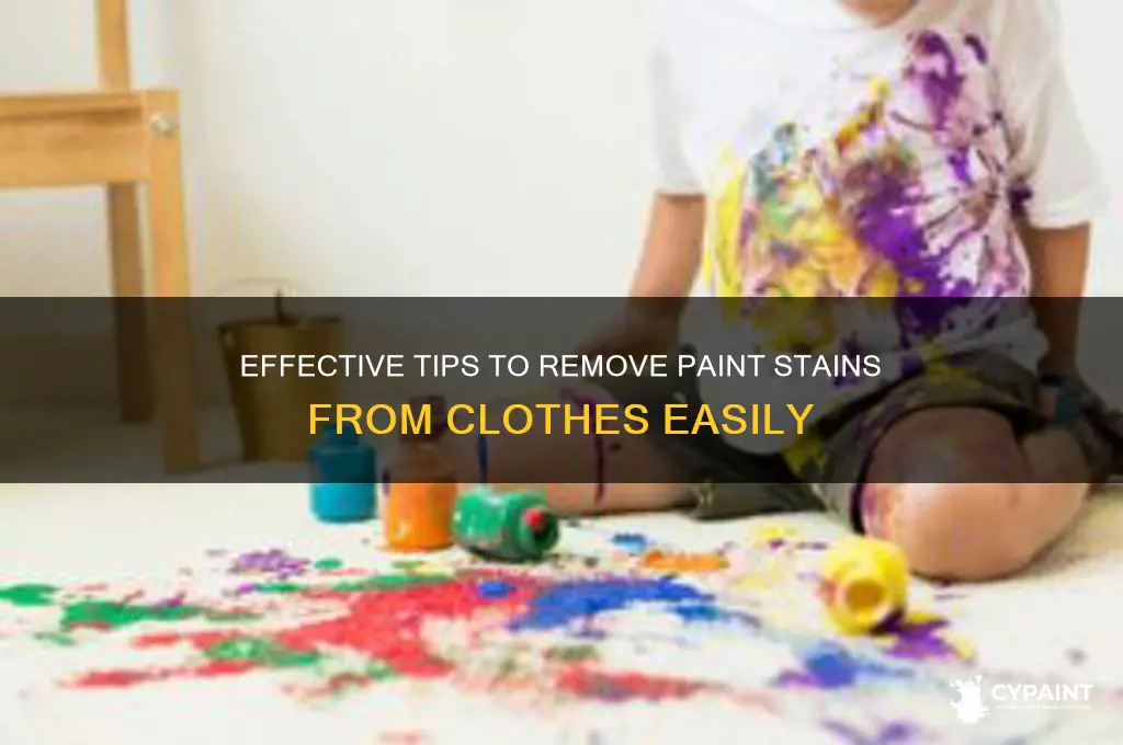 Effective Tips To Remove Paint Stains From Clothes Easily | CyPaint