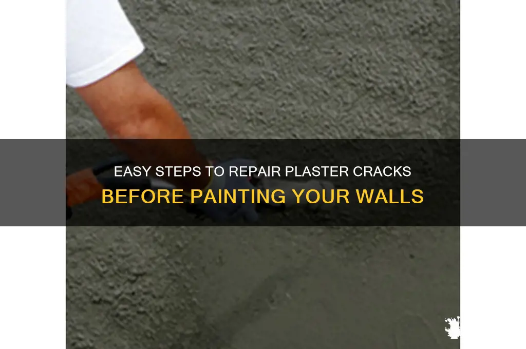Easy Steps To Repair Plaster Cracks Before Painting Your Walls | CyPaint