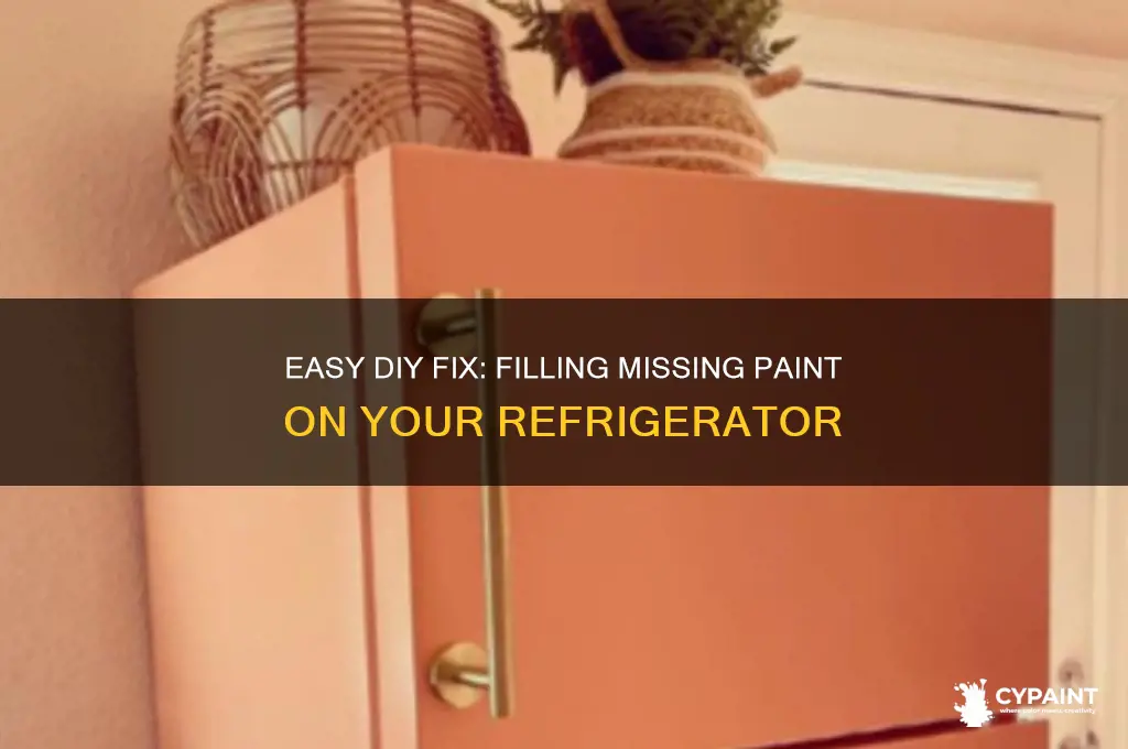 Easy Diy Fix: Filling Missing Paint On Your Refrigerator | CyPaint