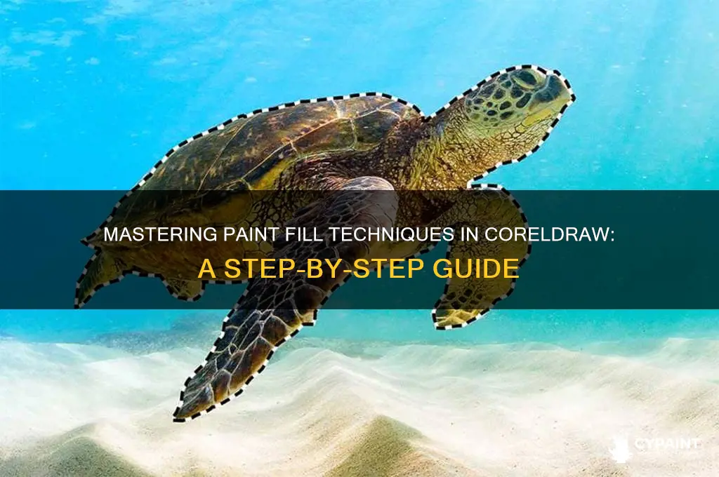 Mastering Paint Fill Techniques In Coreldraw: A Step-By-Step Guide ...