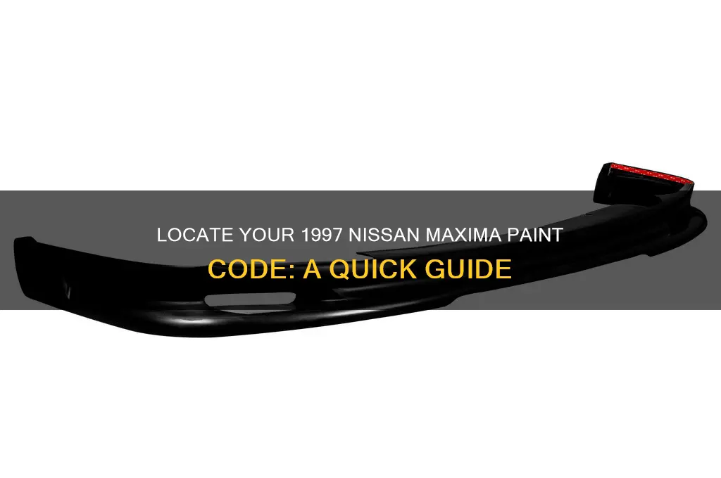 Locate Your 1997 Nissan Maxima Paint Code: A Quick Guide | CyPaint