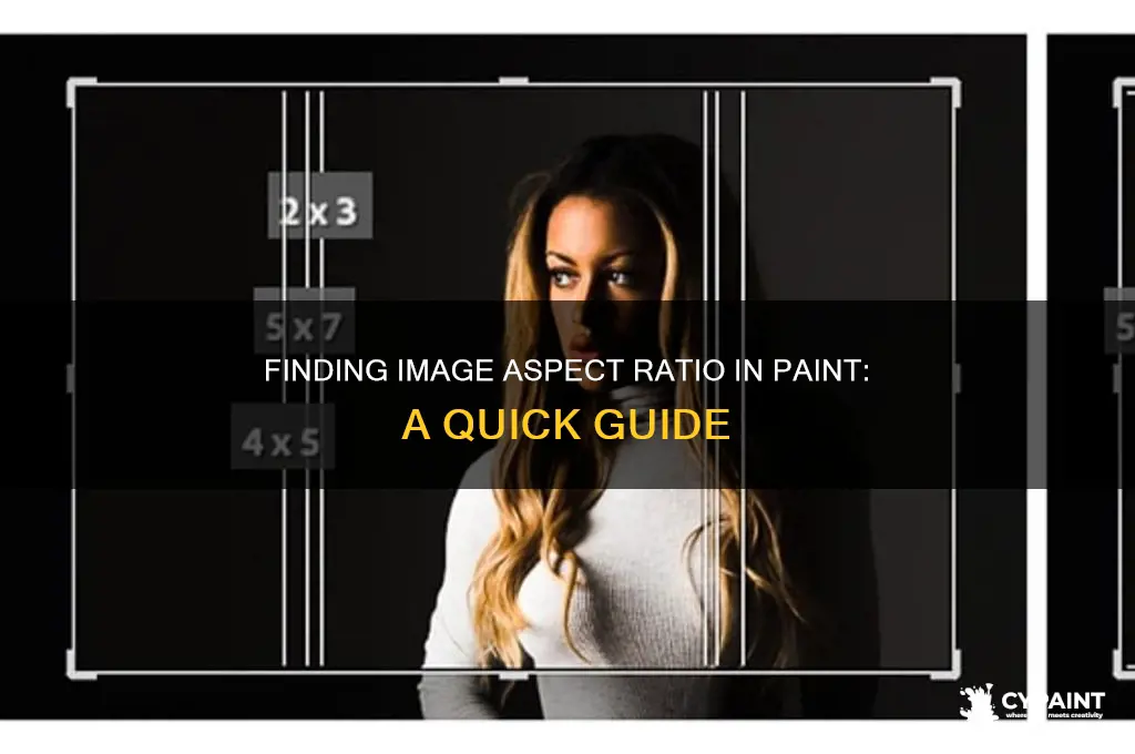 Finding Image Aspect Ratio In Paint: A Quick Guide | CyPaint