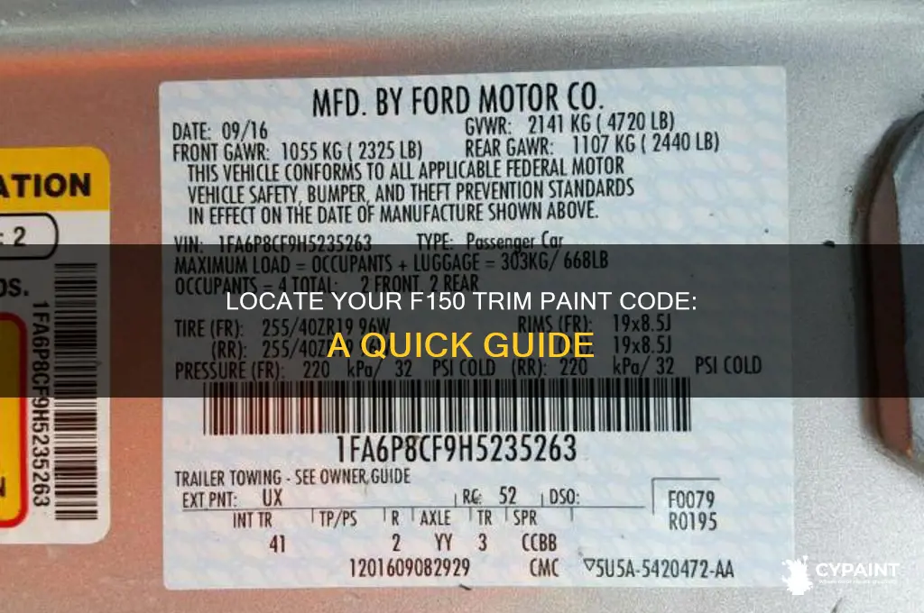 Locate Your F150 Trim Paint Code: A Quick Guide | CyPaint