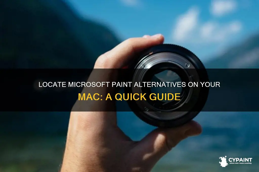 Locate Microsoft Paint Alternatives On Your Mac: A Quick Guide | CyPaint