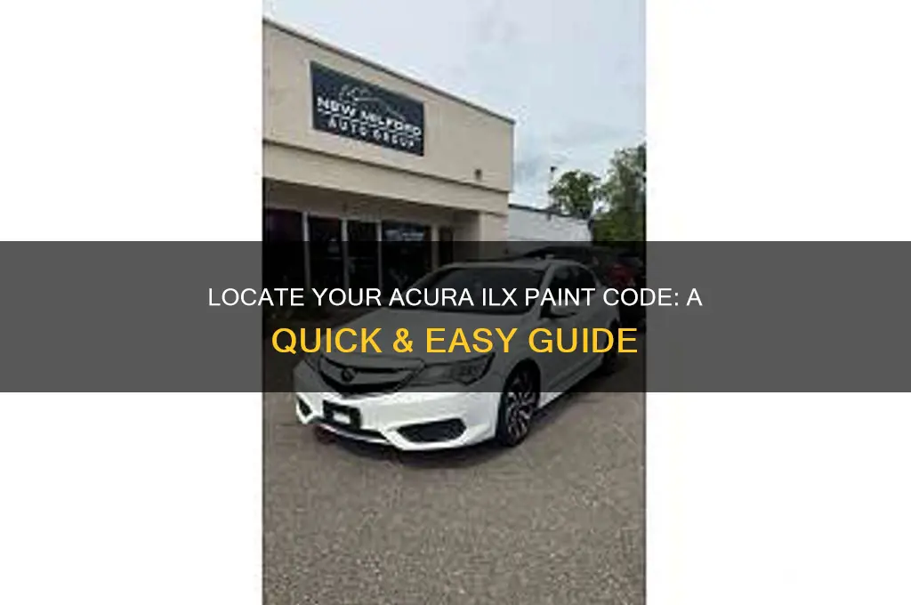 Locate Your Acura Ilx Paint Code: A Quick & Easy Guide | CyPaint