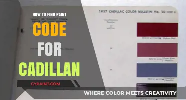 Locate Your Subaru's Paint Code: A Quick And Easy Guide | CyPaint