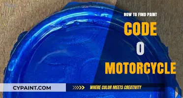 Locate Your Nissan's Paint Code: A Quick And Easy Guide | CyPaint