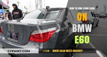 Locate Your Dodge Ram Paint Code: A Quick And Easy Guide | CyPaint