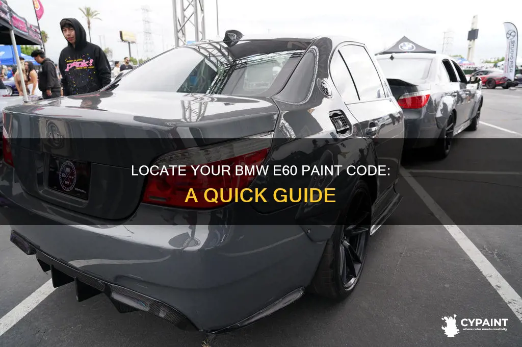 Locate Your Bmw E60 Paint Code: A Quick Guide | CyPaint