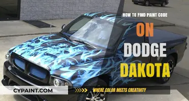 Locate Your Dodge Ram Paint Code: A Quick And Easy Guide | CyPaint