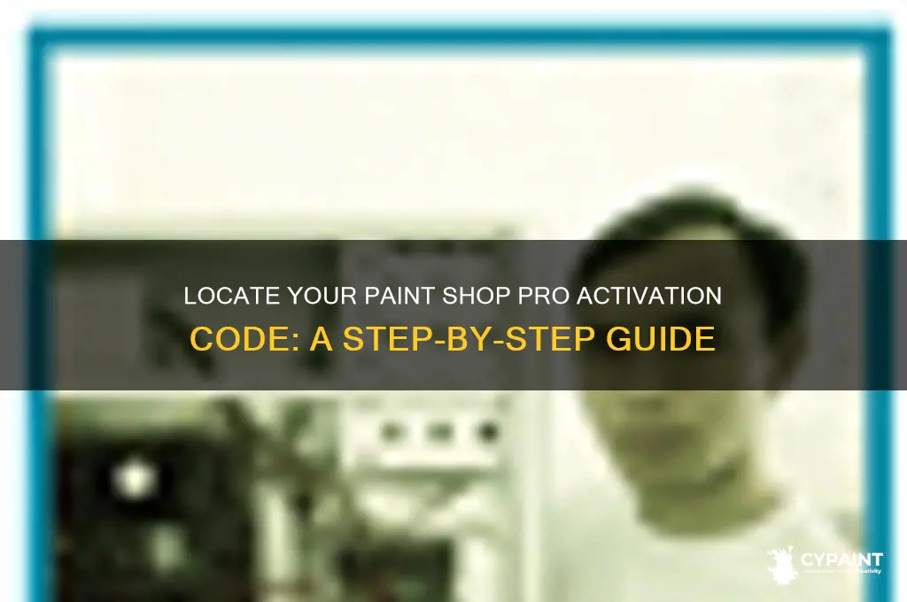 Locate Your Paint Shop Pro Activation Code: A Step-By-Step Guide | CyPaint