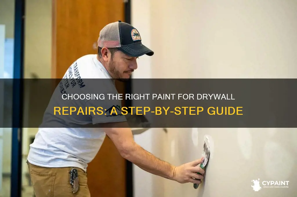 Choosing The Right Paint For Drywall Repairs: A Step-By-Step Guide ...