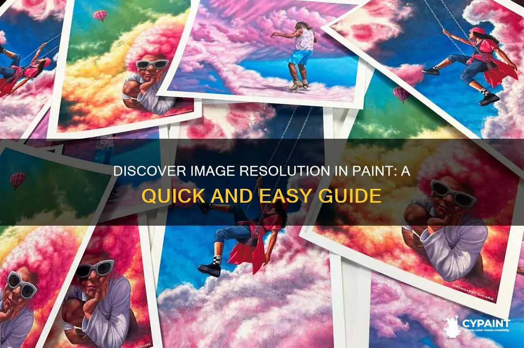 Discover Image Resolution In Paint: A Quick And Easy Guide | CyPaint