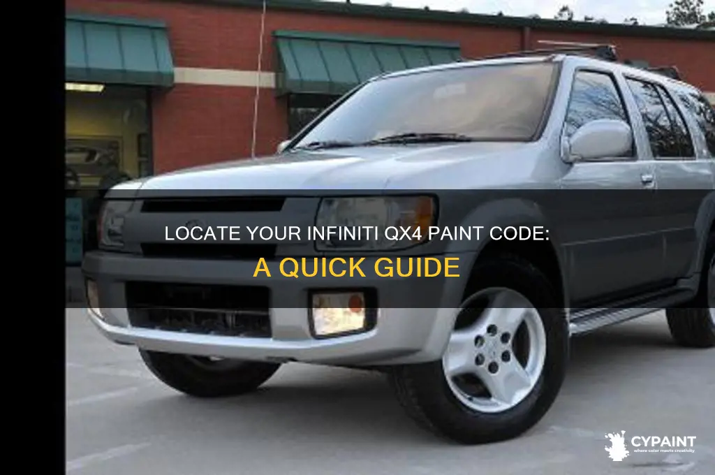 Locate Your Infiniti Qx4 Paint Code: A Quick Guide | CyPaint