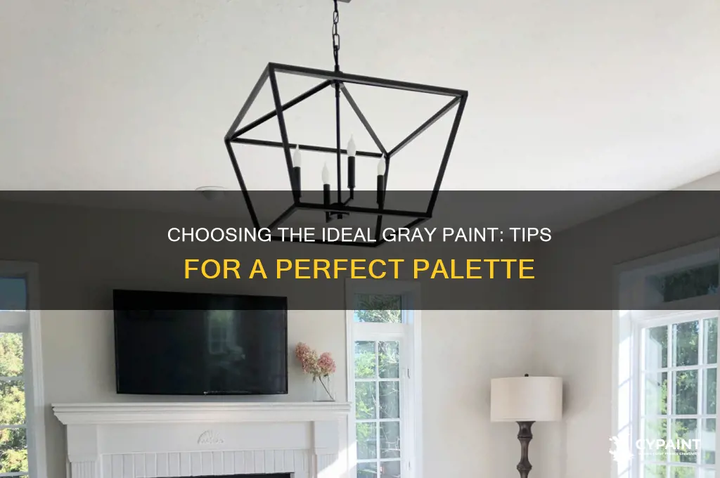 Choosing The Ideal Gray Paint: Tips For A Perfect Palette | CyPaint