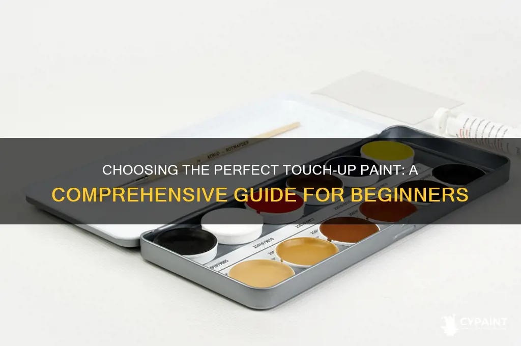 Choosing The Perfect Touch-Up Paint: A Comprehensive Guide For ...