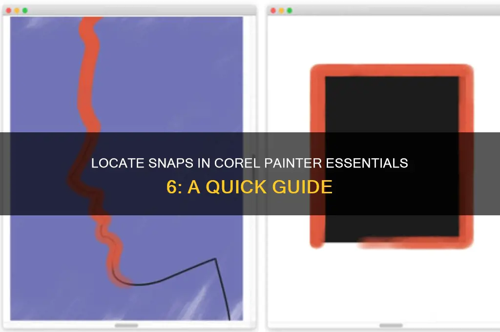 Locate Snaps In Corel Painter Essentials 6: A Quick Guide | CyPaint
