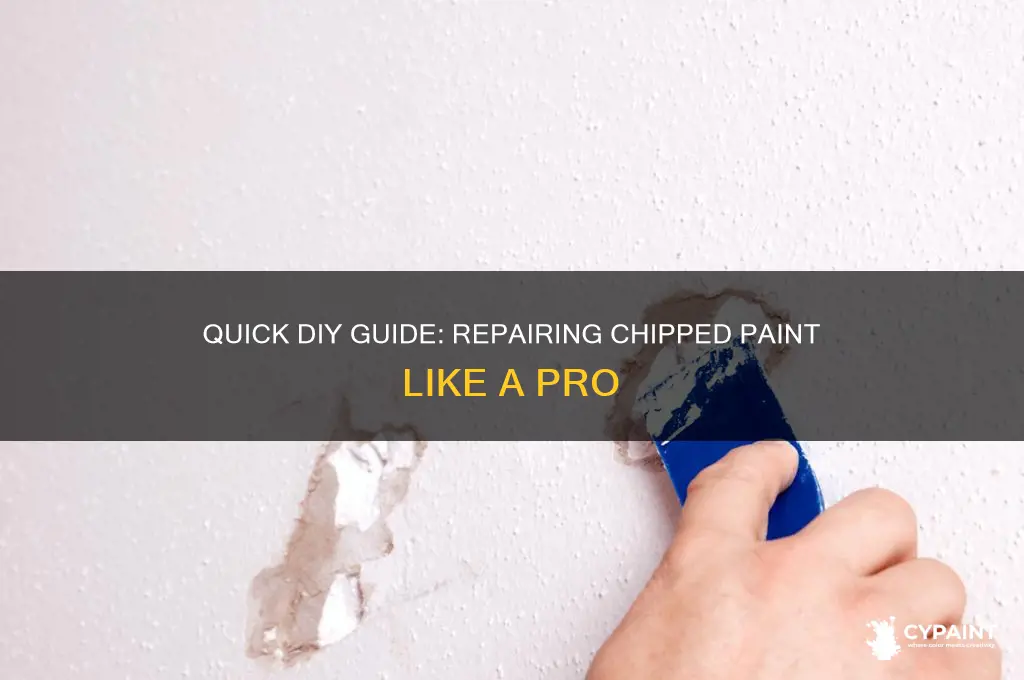 Quick Diy Guide: Repairing Chipped Paint Like A Pro | CyPaint