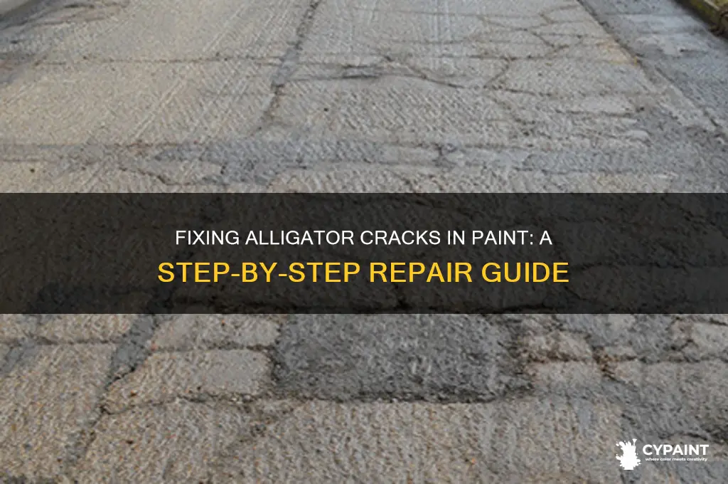 Fixing Alligator Cracks In Paint: A Step-By-Step Repair Guide | CyPaint