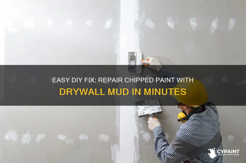 Easy Diy Fix: Repair Chipped Paint With Drywall Mud In Minutes | CyPaint