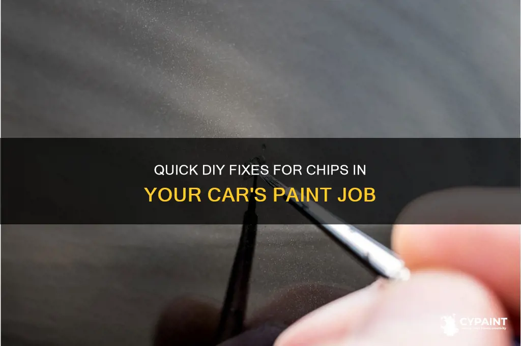 Quick Diy Fixes For Chips In Your Car's Paint Job | CyPaint