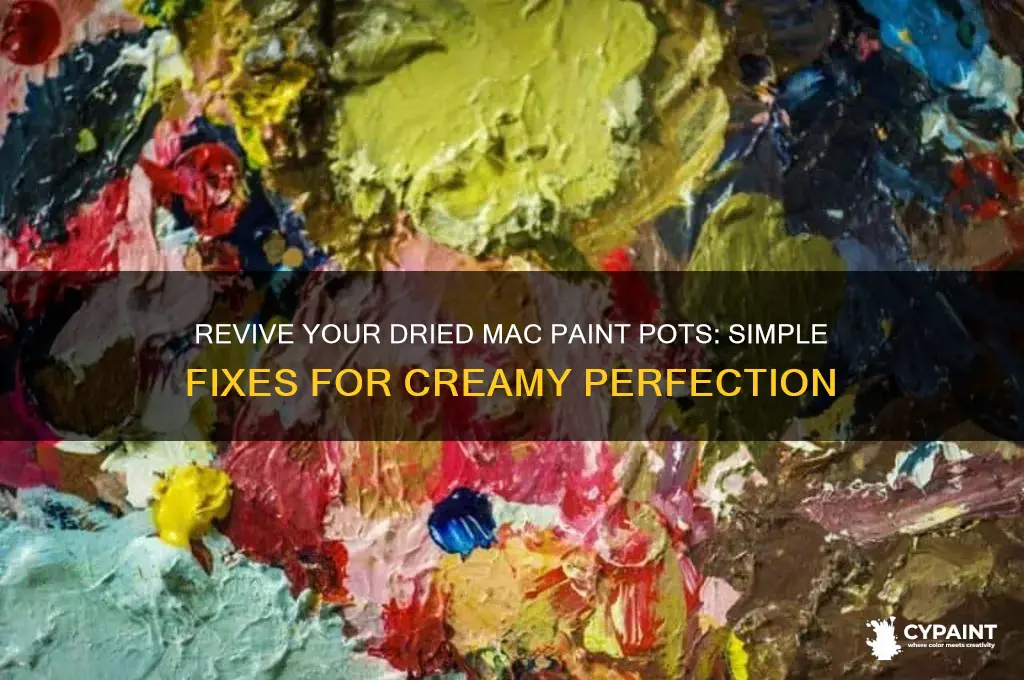 Revive Your Dried Mac Paint Pots: Simple Fixes For Creamy Perfection ...
