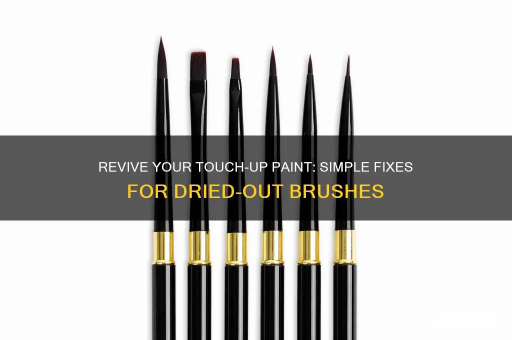 Revive Your Touch-Up Paint: Simple Fixes For Dried-Out Brushes | CyPaint