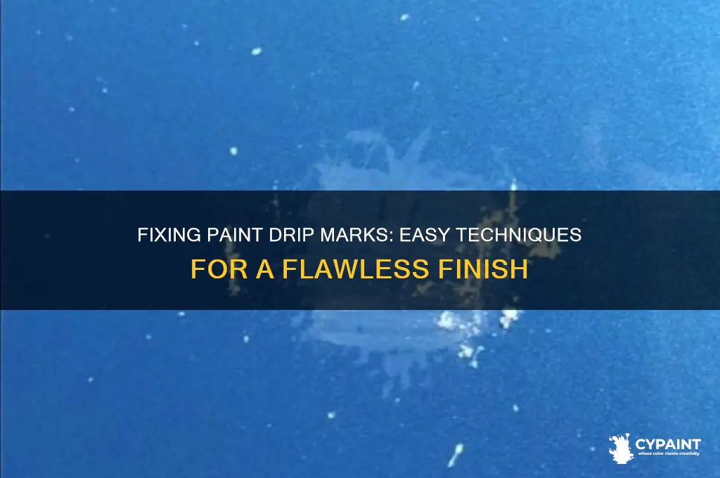 Fixing Paint Drip Marks: Easy Techniques For A Flawless Finish | CyPaint