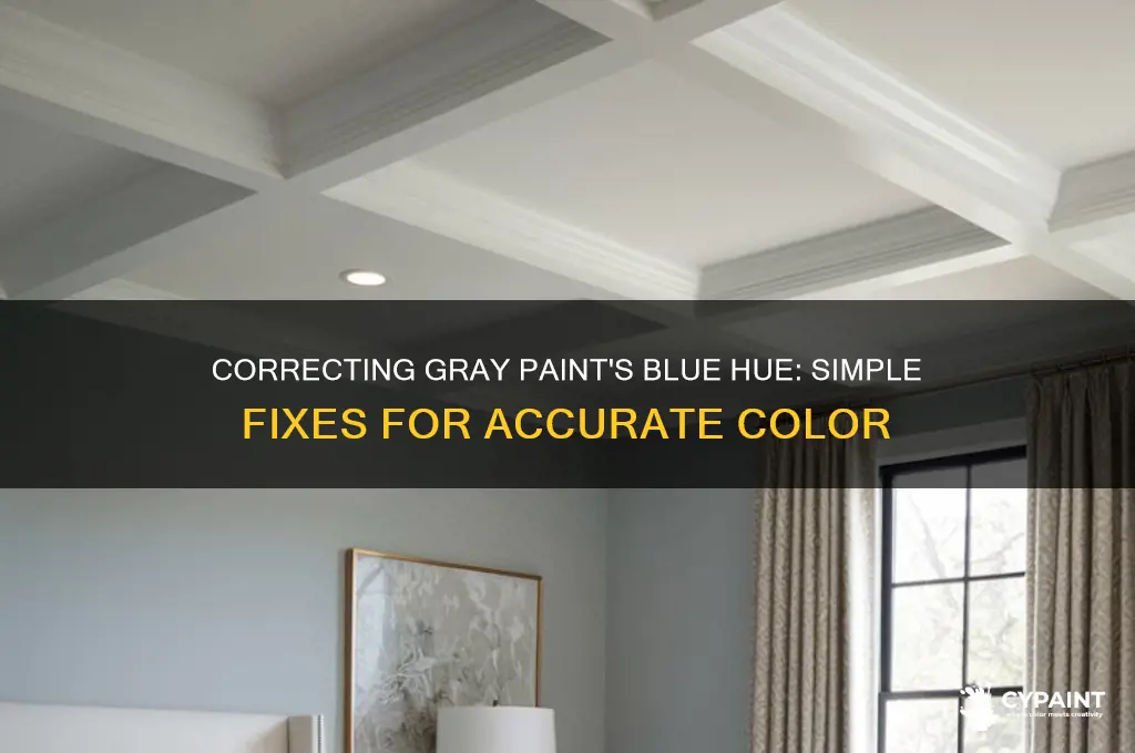 Correcting Gray Paint's Blue Hue: Simple Fixes For Accurate Color | CyPaint