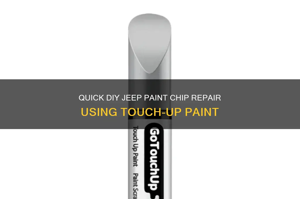 Quick Diy Jeep Paint Chip Repair Using Touch-Up Paint | CyPaint