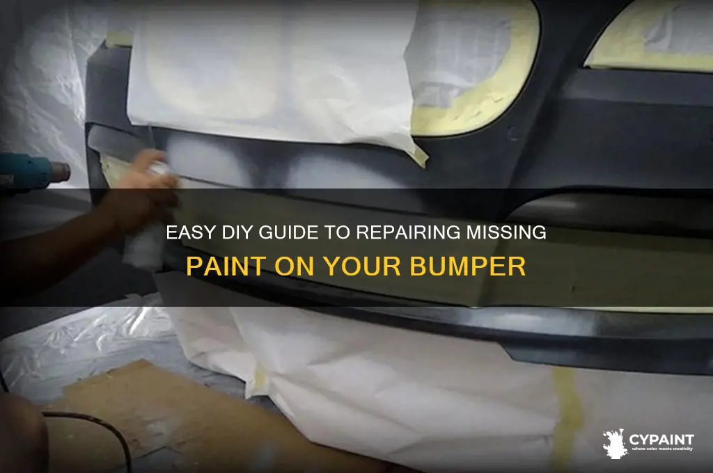 Easy Diy Guide To Repairing Missing Paint On Your Bumper | CyPaint