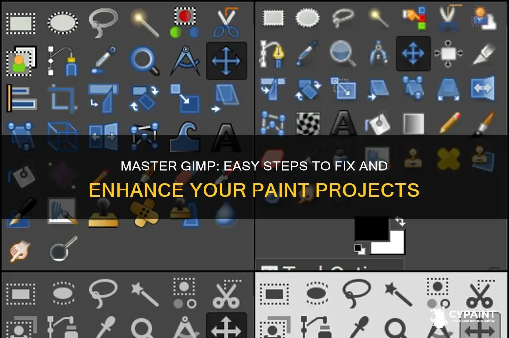 Master Gimp: Easy Steps To Fix And Enhance Your Paint Projects | CyPaint
