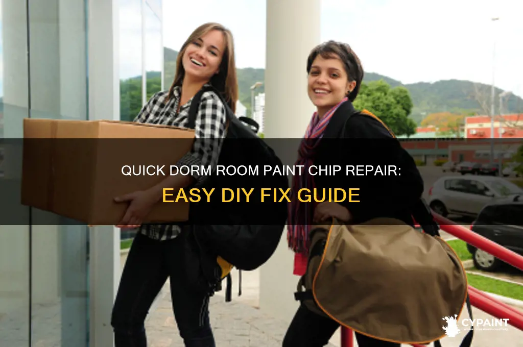 Quick Dorm Room Paint Chip Repair: Easy Diy Fix Guide | CyPaint