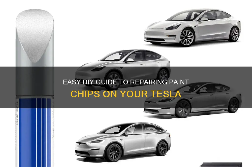 Easy Diy Guide To Repairing Paint Chips On Your Tesla | CyPaint