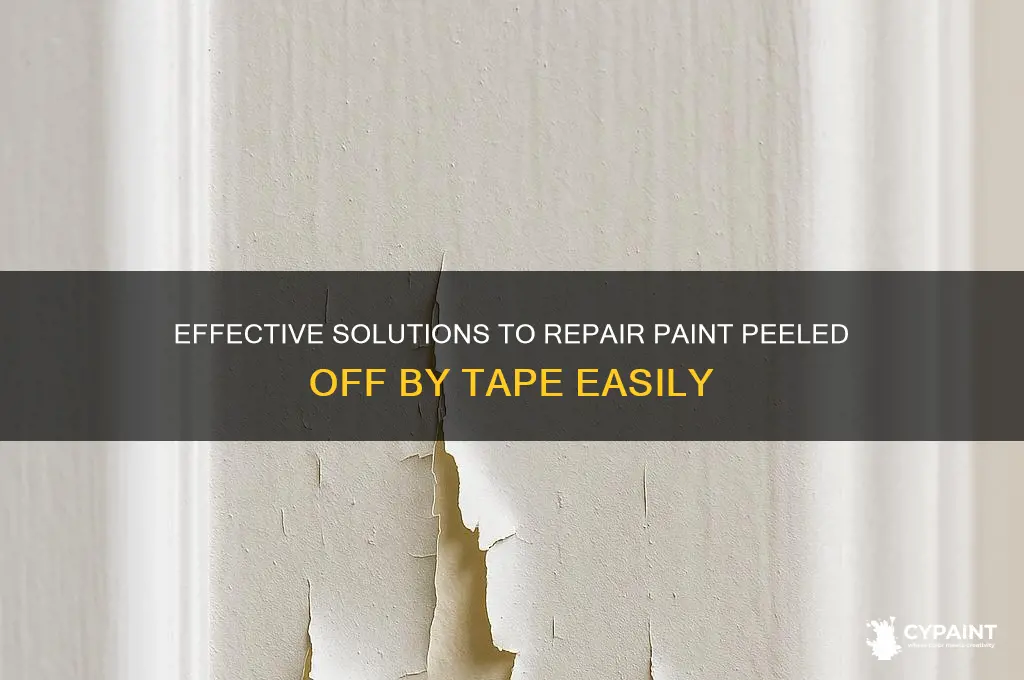 Effective Solutions To Repair Paint Peeled Off By Tape Easily | CyPaint