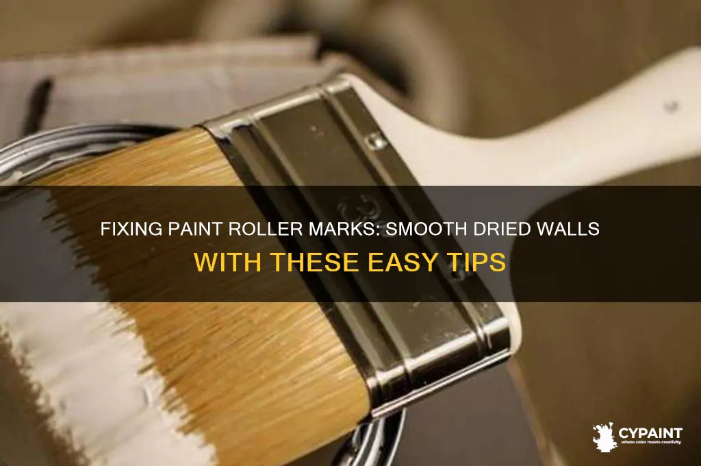 Fixing Paint Roller Marks: Smooth Dried Walls With These Easy Tips ...