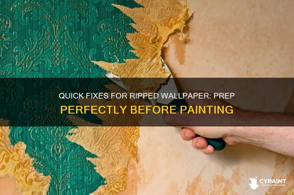 Quick Fixes For Ripped Wallpaper: Prep Perfectly Before Painting | CyPaint