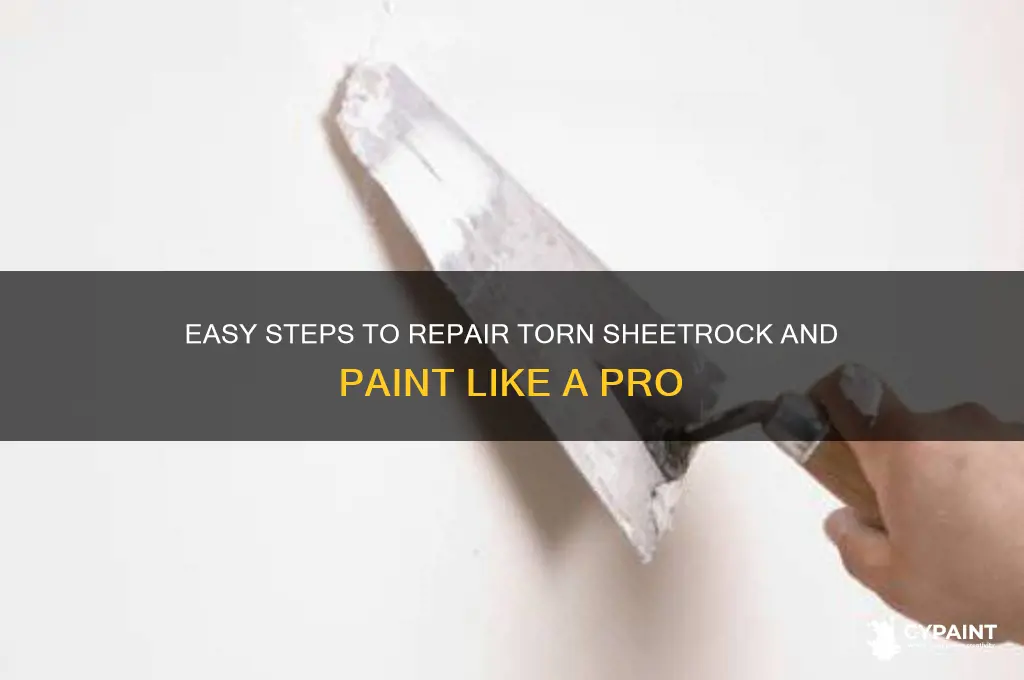Easy Steps To Repair Torn Sheetrock And Paint Like A Pro | CyPaint
