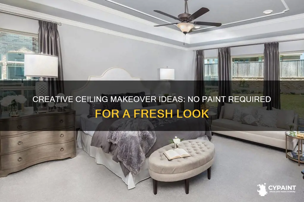 Creative Ceiling Makeover Ideas: No Paint Required For A Fresh Look ...
