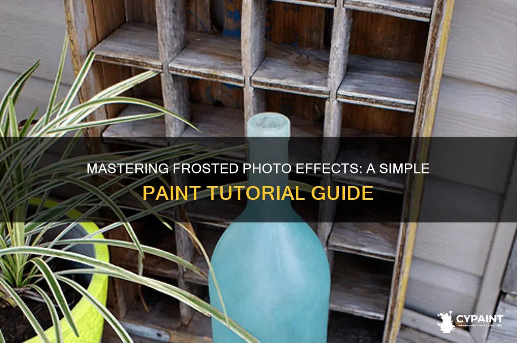 Mastering Frosted Photo Effects: A Simple Paint Tutorial Guide | CyPaint